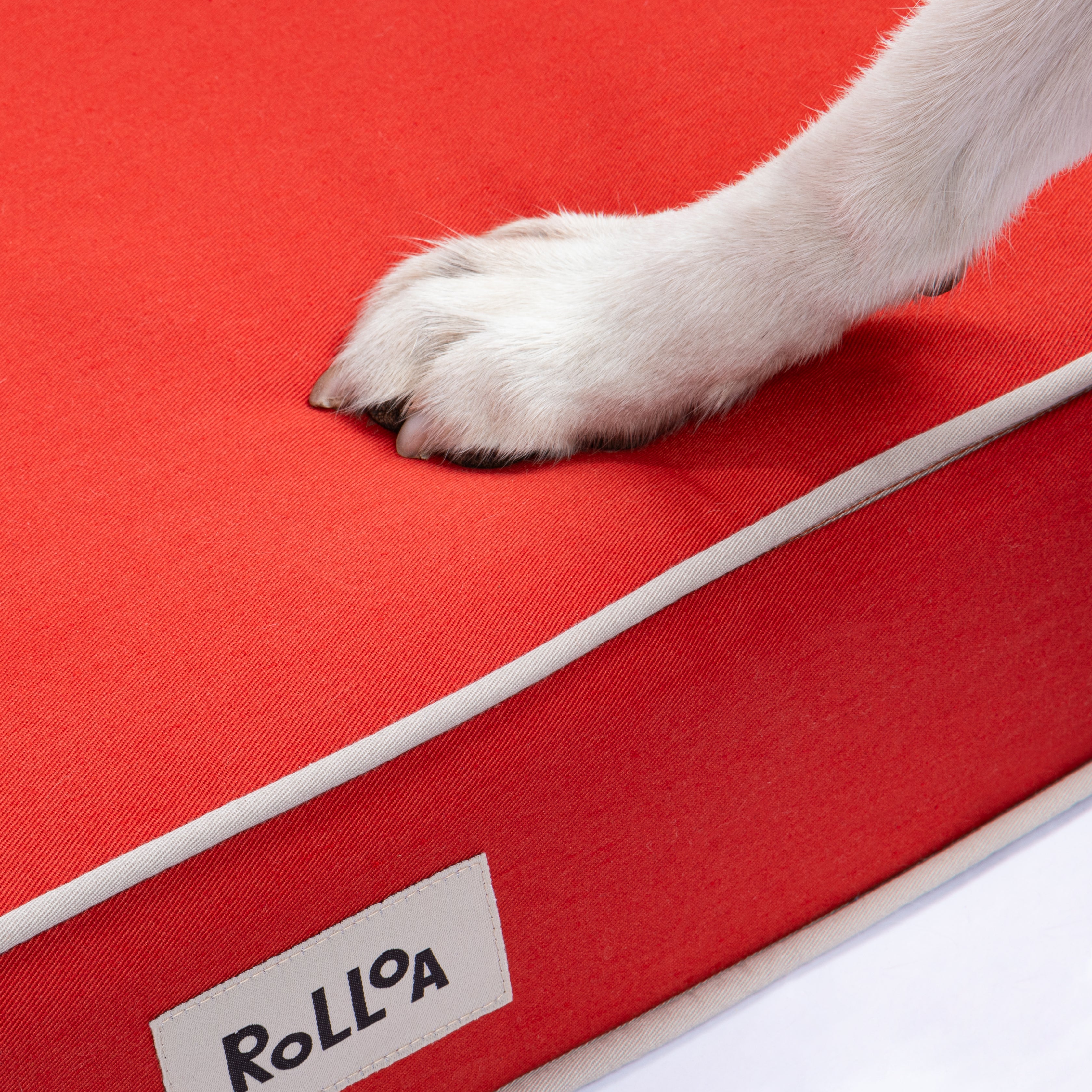 Rollo Bed Large | Stylish Orthopedic Dog Beds – Rolloa Pets
